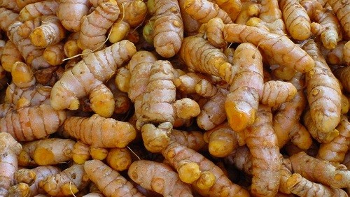 Curcuma: proprietà, benefici e utilizzo - GreenStyle