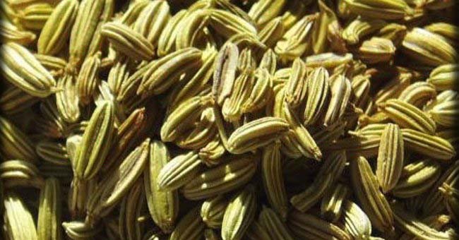 Semi di finocchio: tisana per digerire - GreenStyle