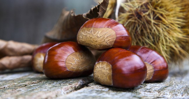 Castagne: proprietà curative - GreenStyle