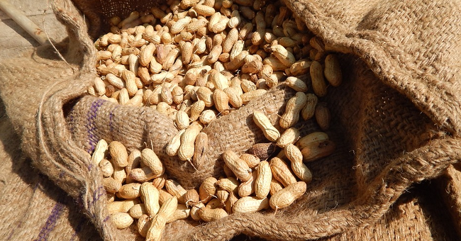 Olio di arachidi: proprietà, calorie, usi - GreenStyle