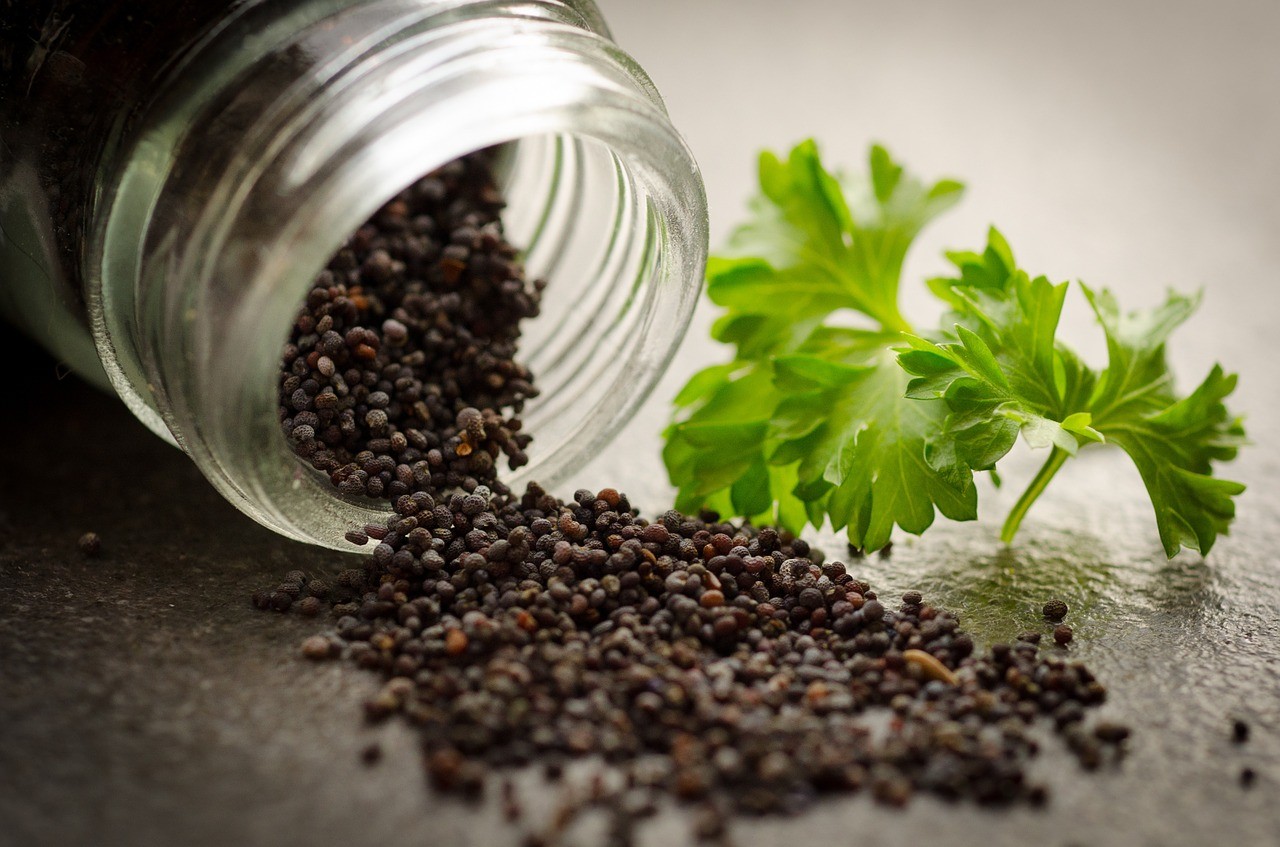 Semi di papavero: proprietà e usi, controindicazioni - GreenStyle