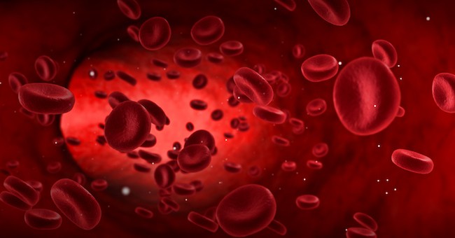 Globuli rossi (eritrociti) alti o bassi: valori e cause - GreenStyle