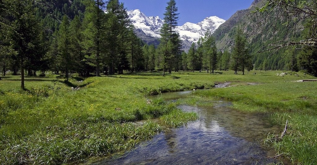 Parchi italiani, tre nella Green List dello IUCN: quali sono - GreenStyle