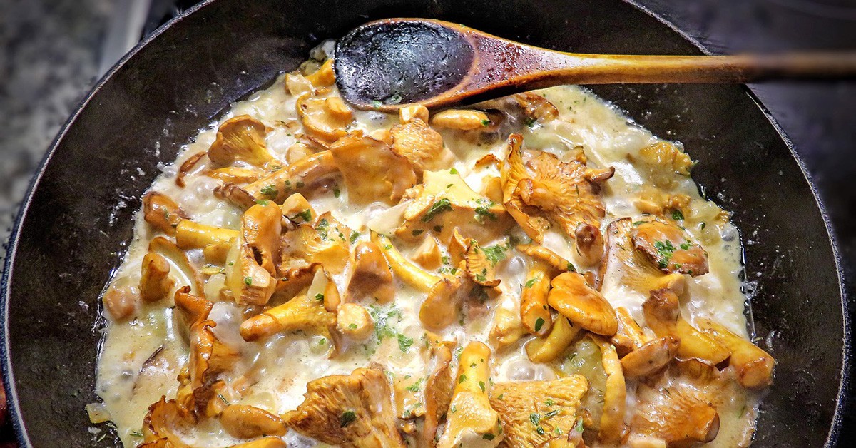 Finferli: proprietà, ricette e funghi simili velenosi - GreenStyle