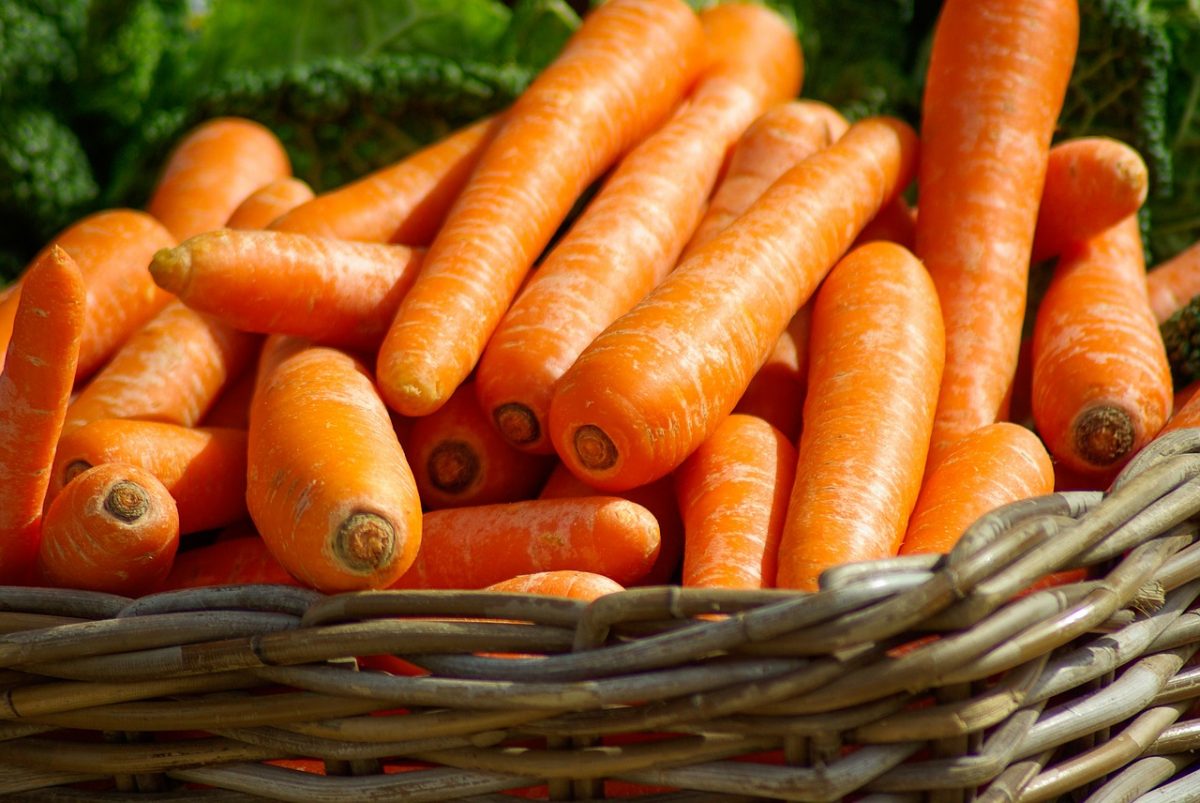 Carote:proprietà, benefici, valori nutrizionali - GreenStyle