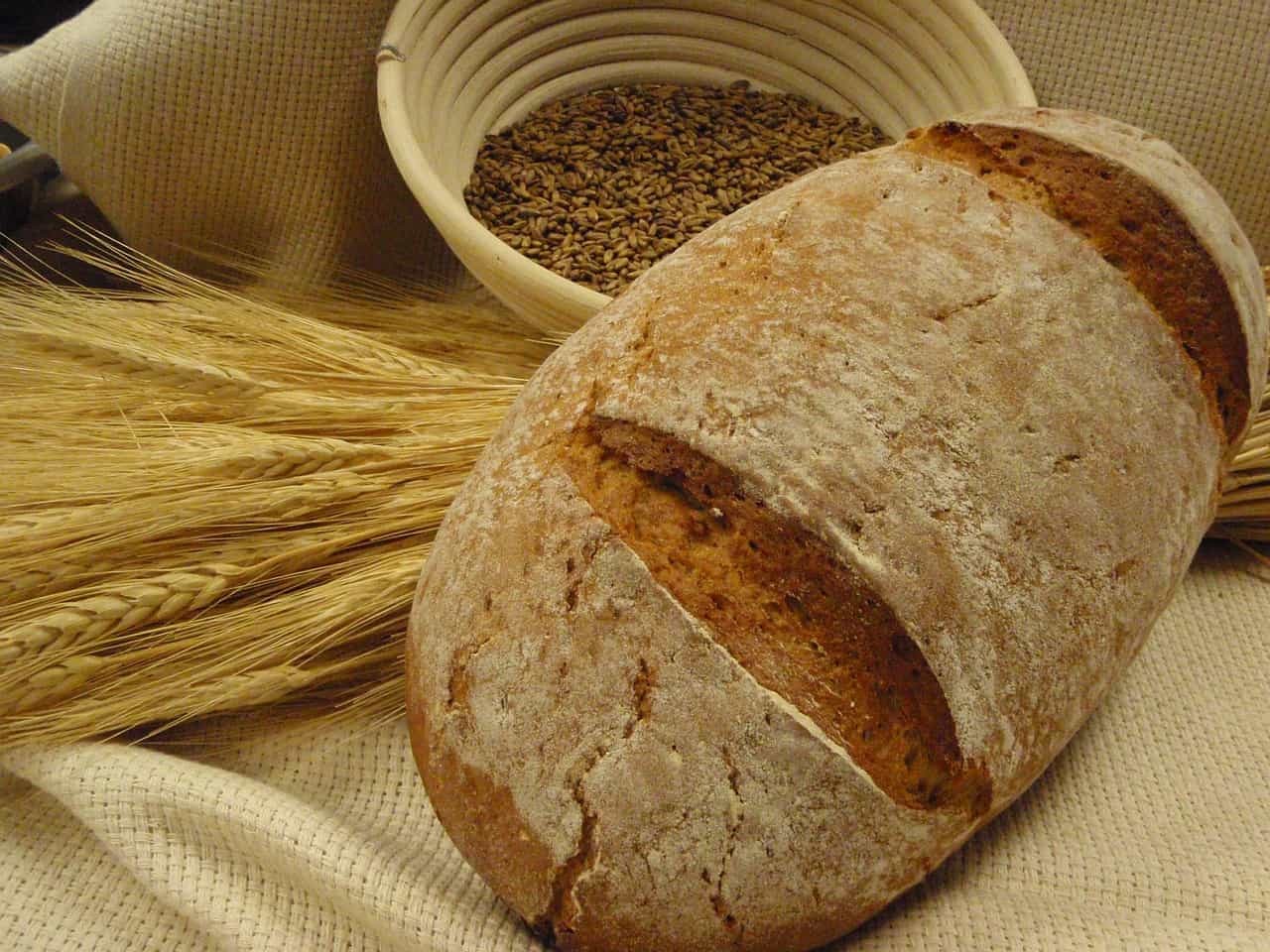 Segale: proprietà, benefici e usi - GreenStyle