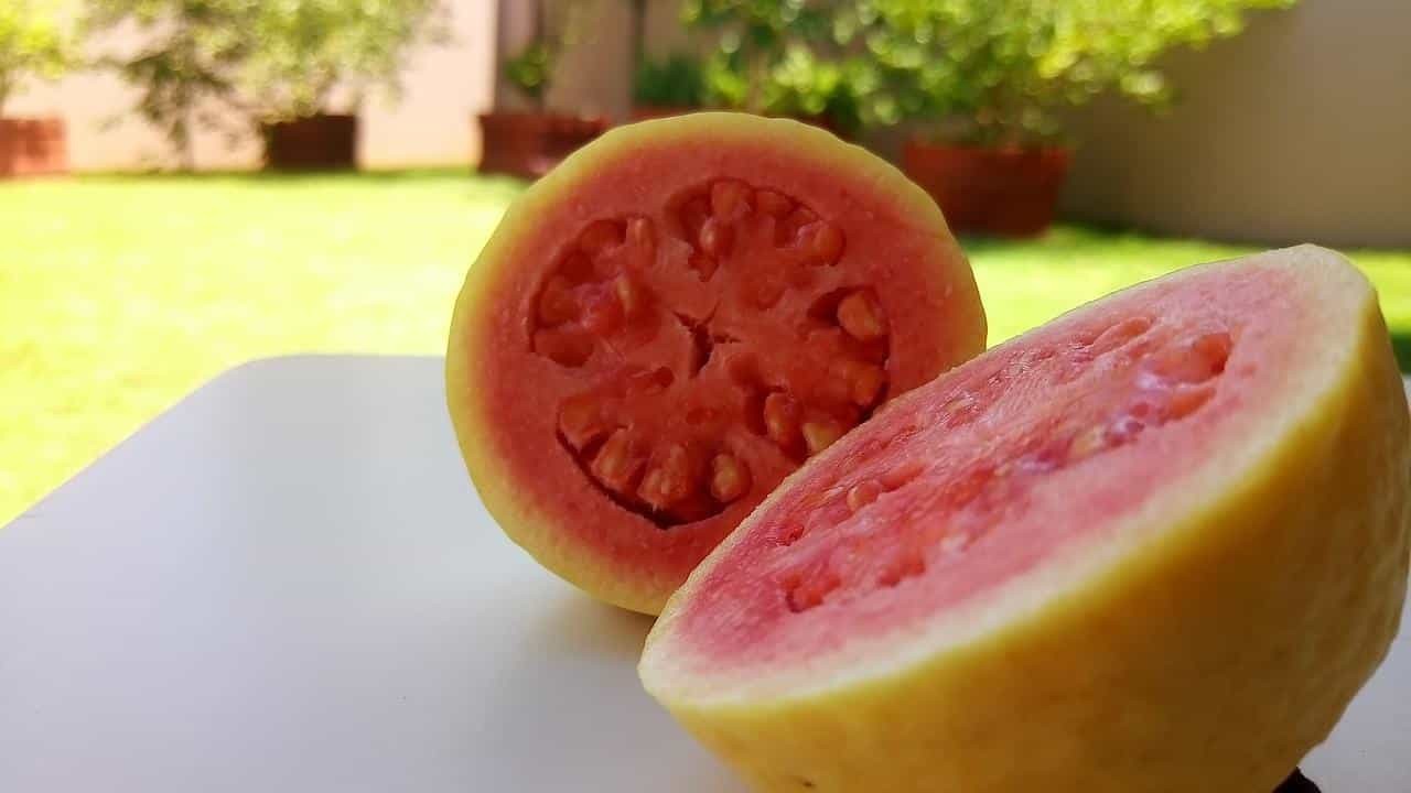 Guava: sapore e benefici del frutto esotico - GreenStyle