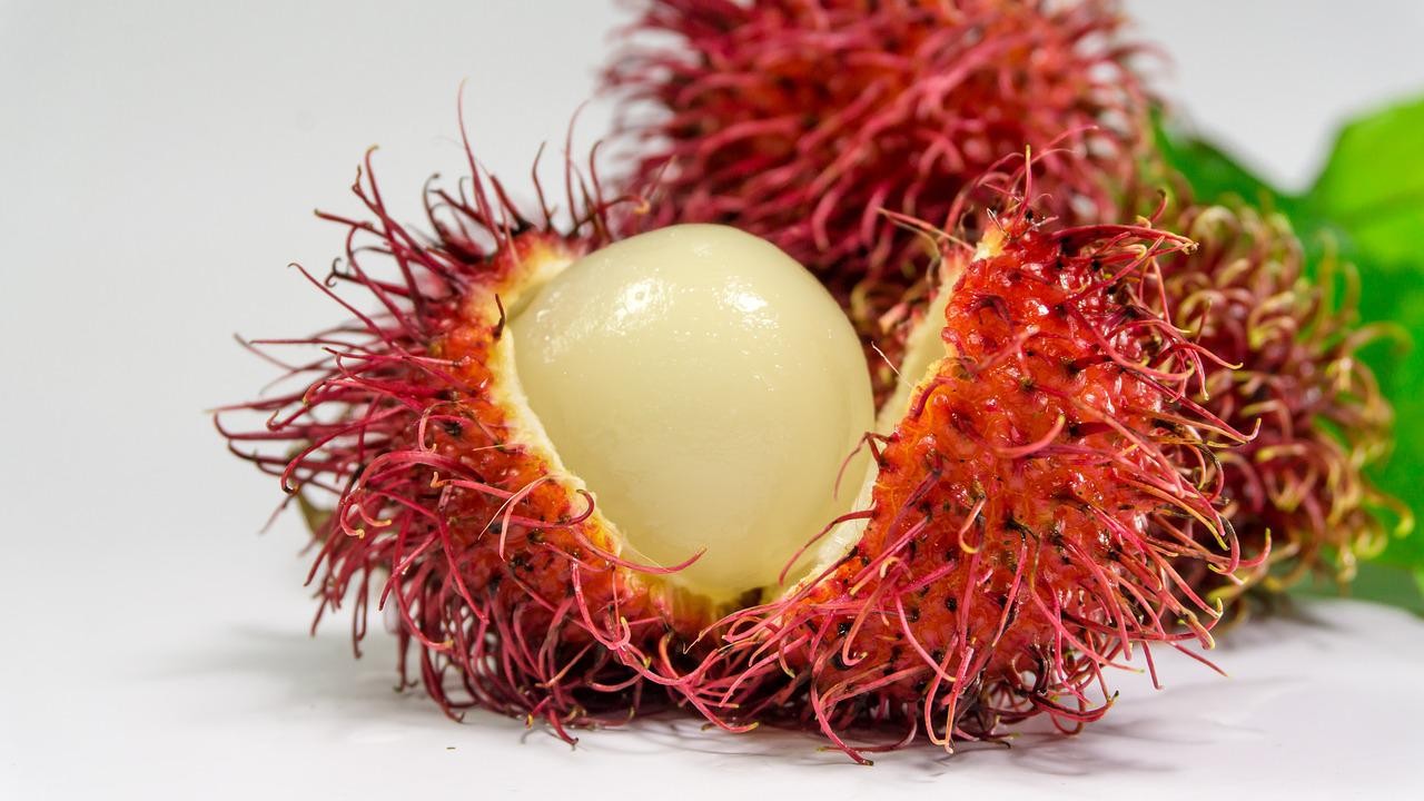 Che frutto è il rambutan e come si mangia - GreenStyle