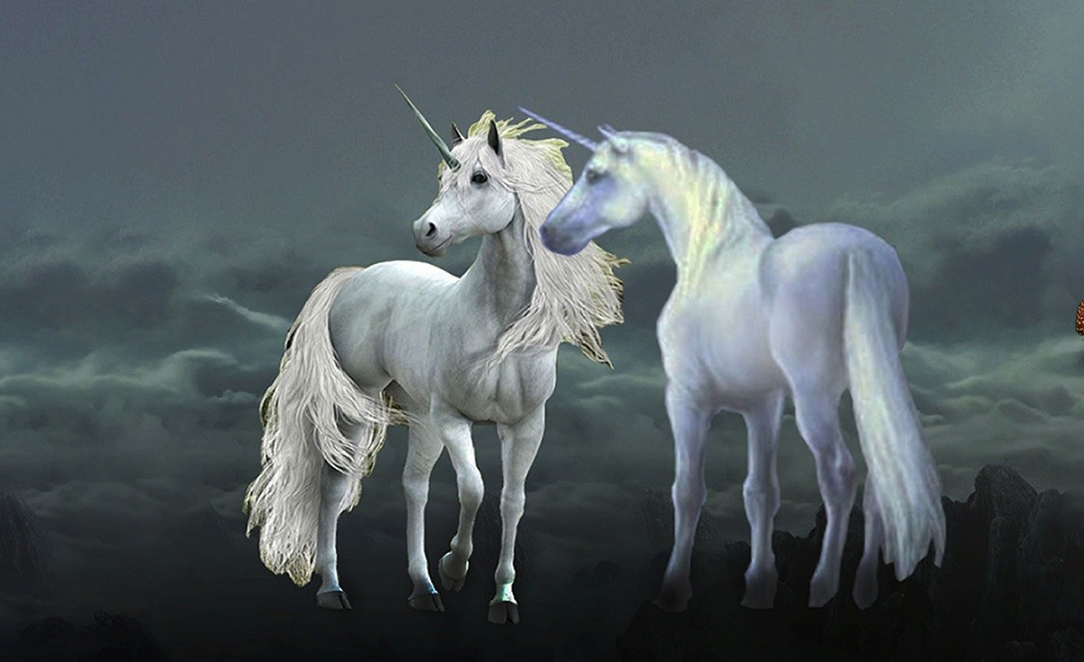 I liocorni esistono davvero? Ecco cosa devi sapere - GreenStyle