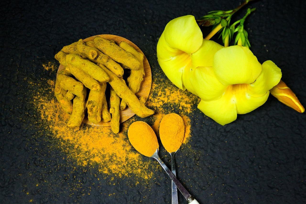 Curcuma: coltivazione della pianta e prezzo - GreenStyle