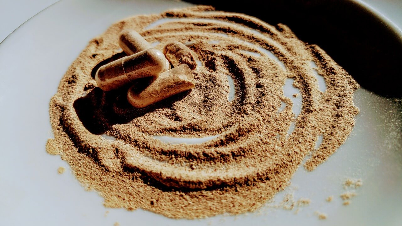 Poria cocos: proprietà ed effetti collaterali - GreenStyle