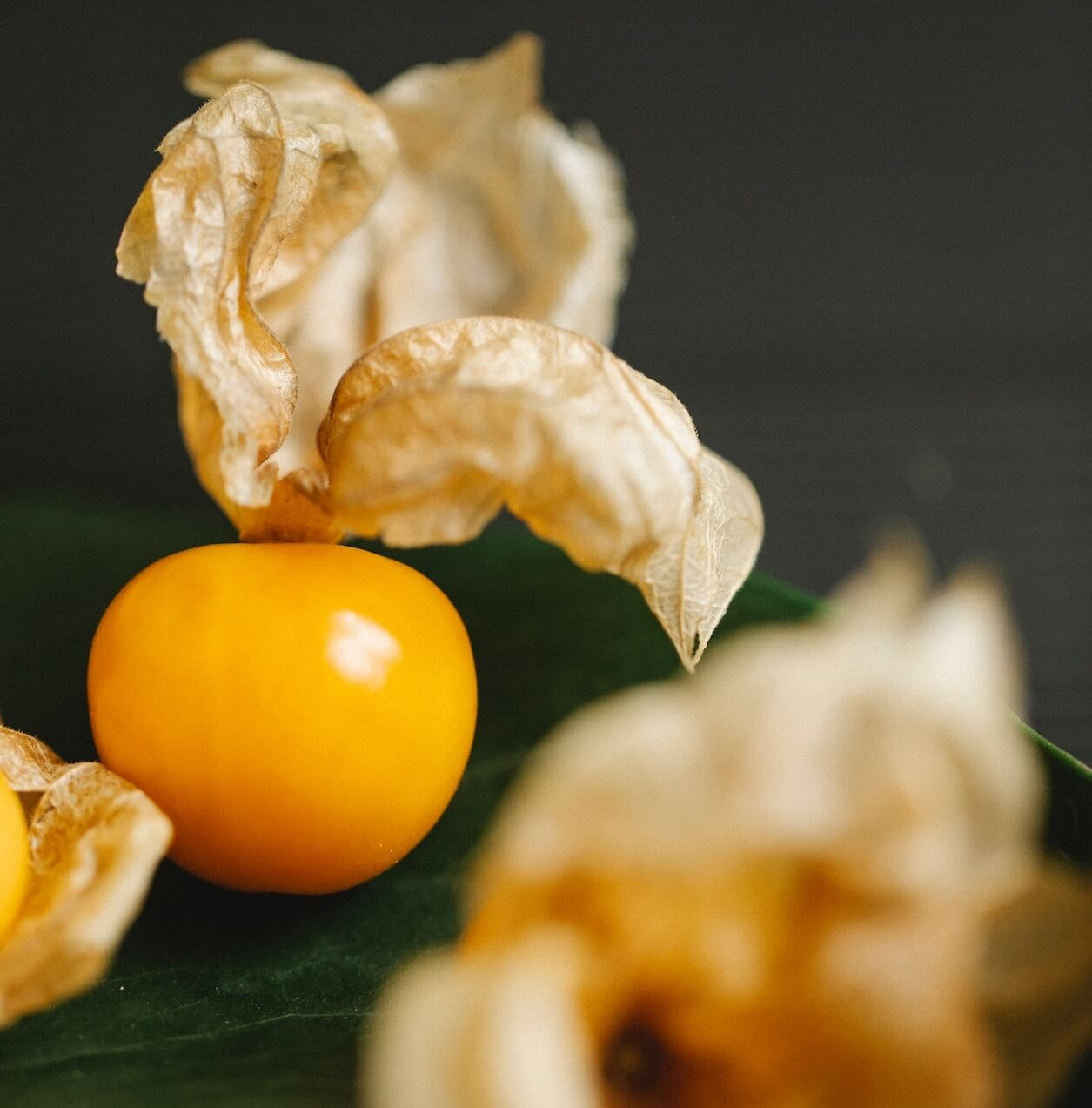 Alchechengi: proprietà del frutto e come si mangia - GreenStyle