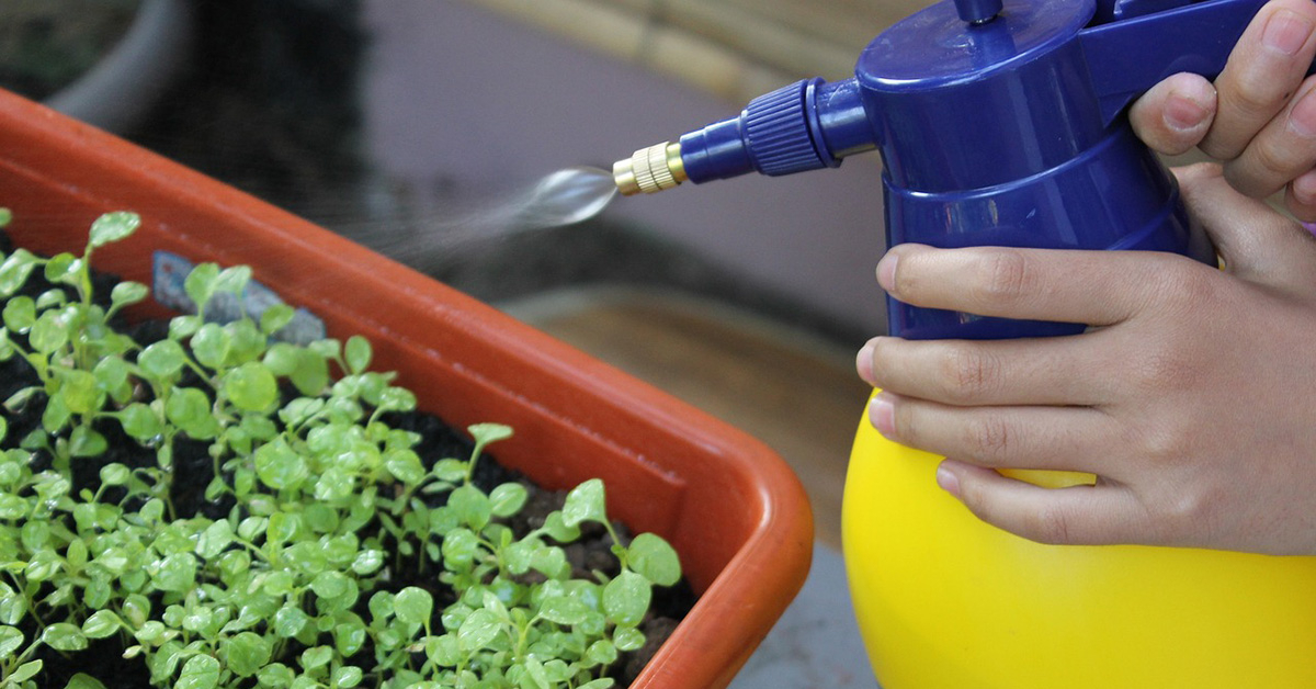 Cos'è il sapone molle potassico e usi per orto e piante - GreenStyle