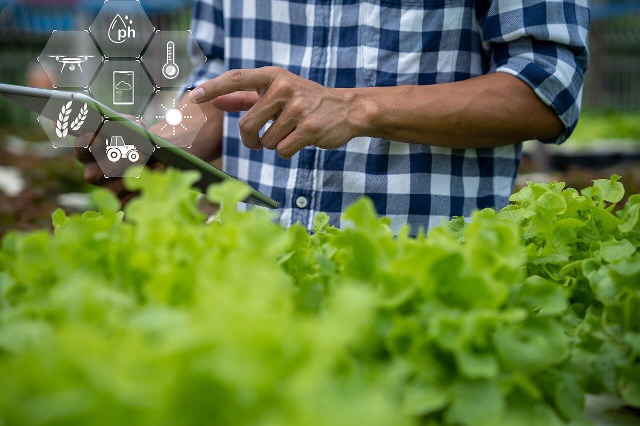 Agricoltura sostenibile: cos'è e su quali principi si fonda - GreenStyle