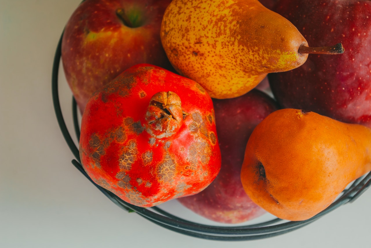 Frutta d'autunno: le varietà migliori da preferire - GreenStyle