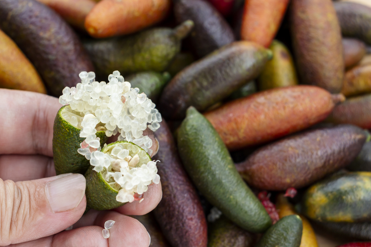 Caviale di limone cos'è, uso e benefici - GreenStyle