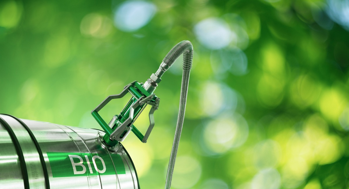 Carburanti biologici e sintetici: quali sono le differenze - GreenStyle