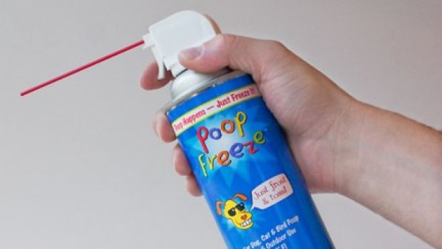 Poop Freeze: lo spray che solidifica le feci dei pets - Petsblog