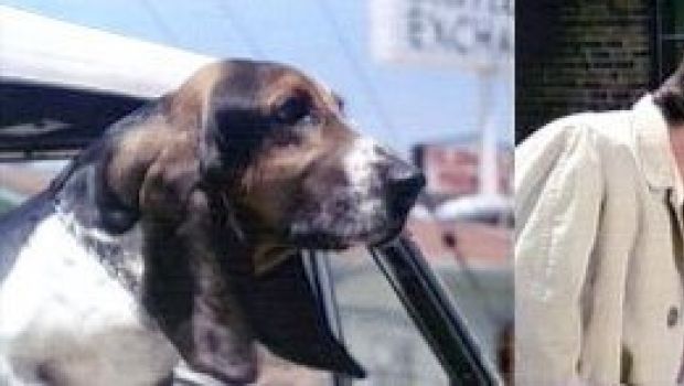 Cani e telefilm: il cane del tenente Colombo - Petsblog
