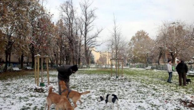 A Milano il progetto Area Dog, i padroni si prendono cura dell'area ...