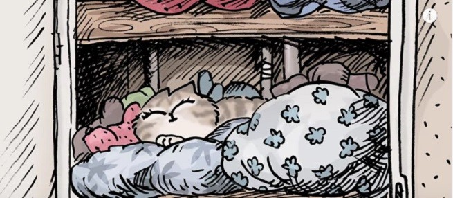 Simon’s Cat Logic: il video Why Do Cats Sleep in Unusual Places ...