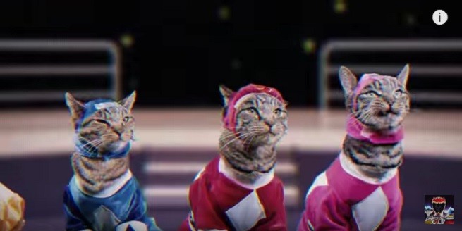 Meower Rangers, i Power Rangers in versione gatto nel video di YouTube ...