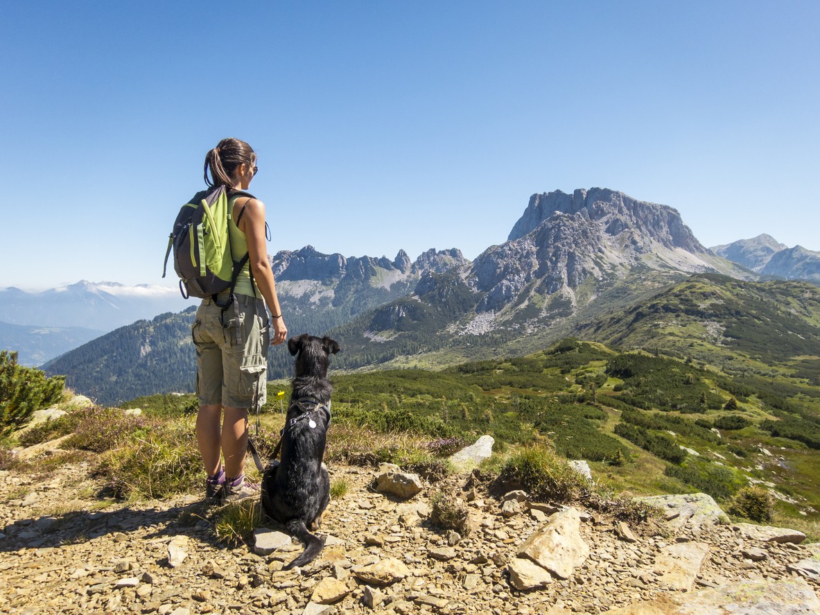 Passeggiate in montagna con il cane: i consigli per non correre rischi ...