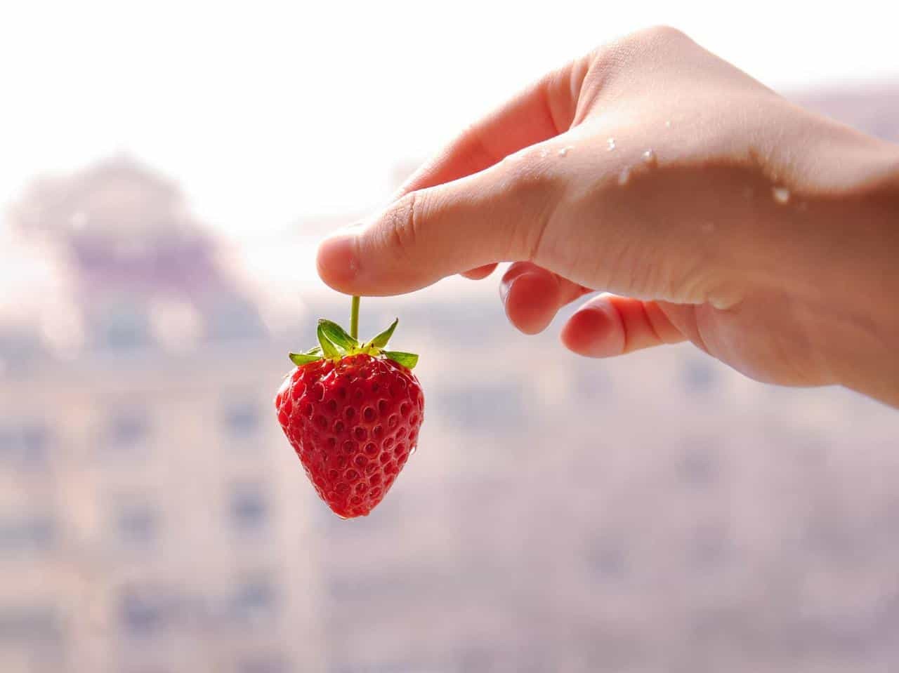 Allergia alle fragole e macchie rosse, cosa fare - Benessereblog