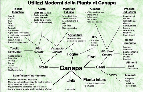 Canapa: proprietà, benefici e utilizzi - GreenStyle
