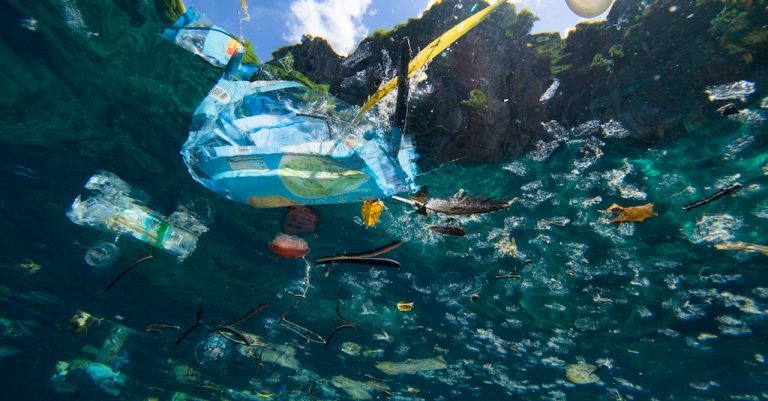 Isole di plastica: cosa sono e dove sono - GreenStyle